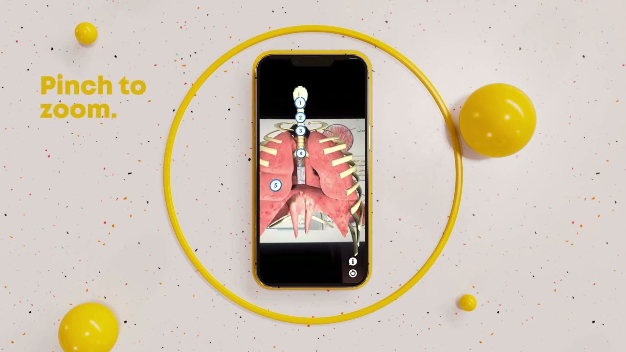 Respiratory system System | AR | Interactive experience - YouTube