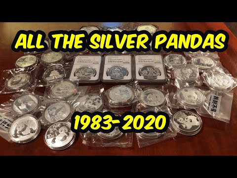 Complete Silver Panda Coin review, Coin Collector and Silver Stacking ...