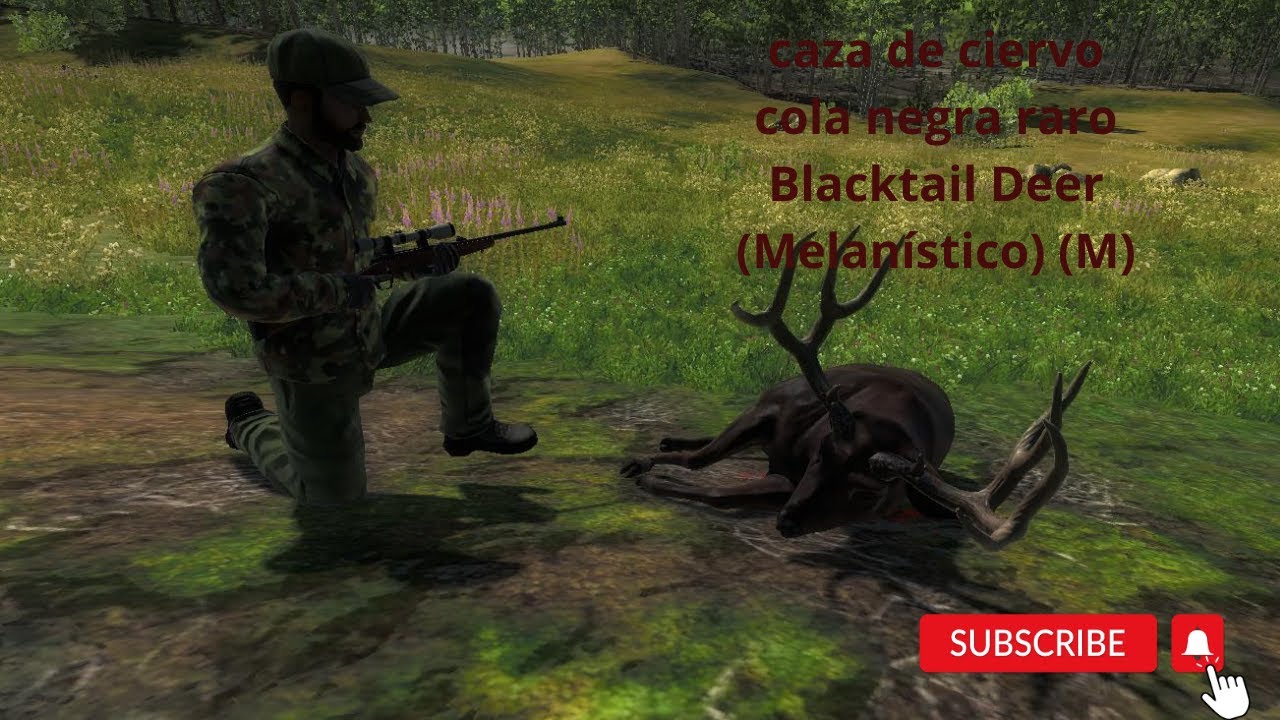 #caza_de_ciervo_cola_negra_raro_melanístico the hunter classic 2024 ...
