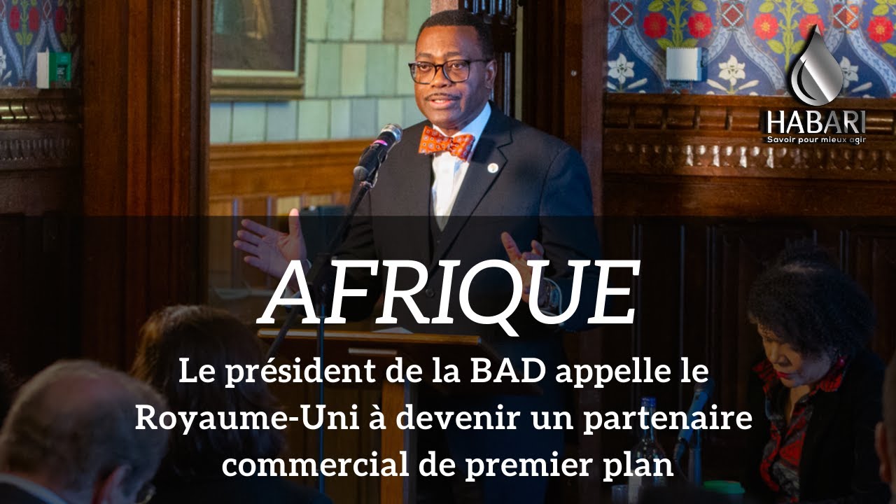 Afrique : le président de la BAD appelle le Royaume-Uni à devenir un ...