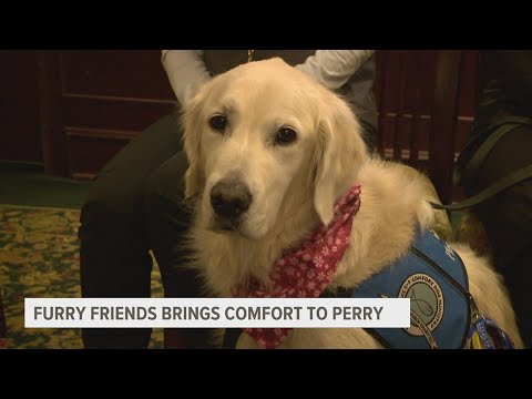 Bringing comfort to tragedy: Dogs helping those in Perry, Iowa - YouTube