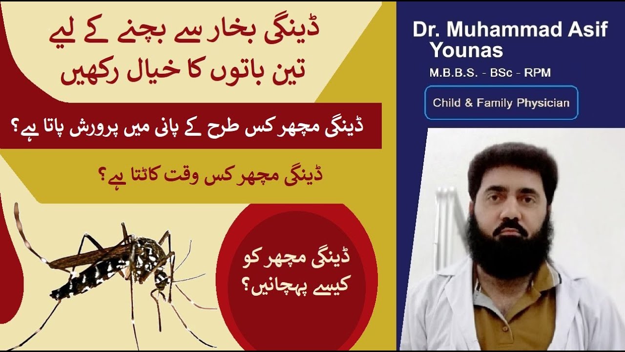 How to avoid dangue | dengue machar kaisa hota hai - YouTube