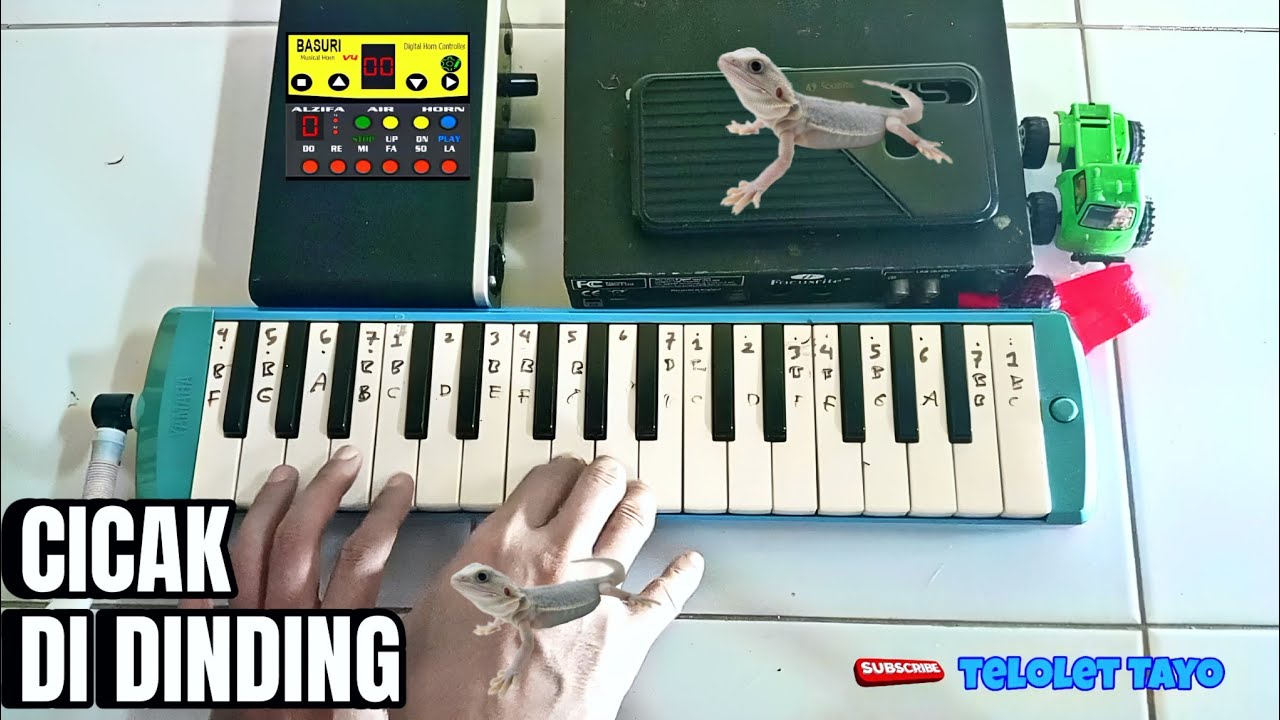 Cicak Cicak di dinding - Lagu Anak Indonesia Pianika - YouTube