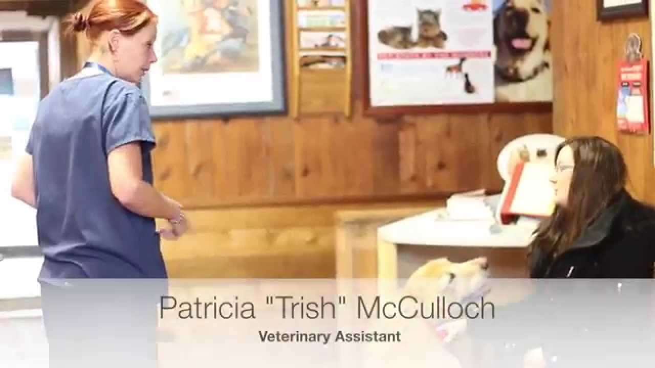 Meet The Team | Trish - YouTube