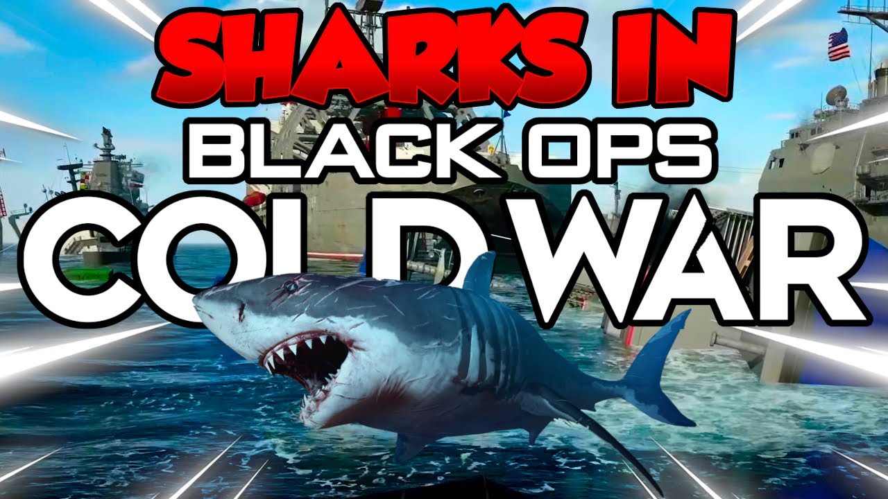 SHARKS IN CALL OF DUTY BLACK OPS COLD WAR! - YouTube