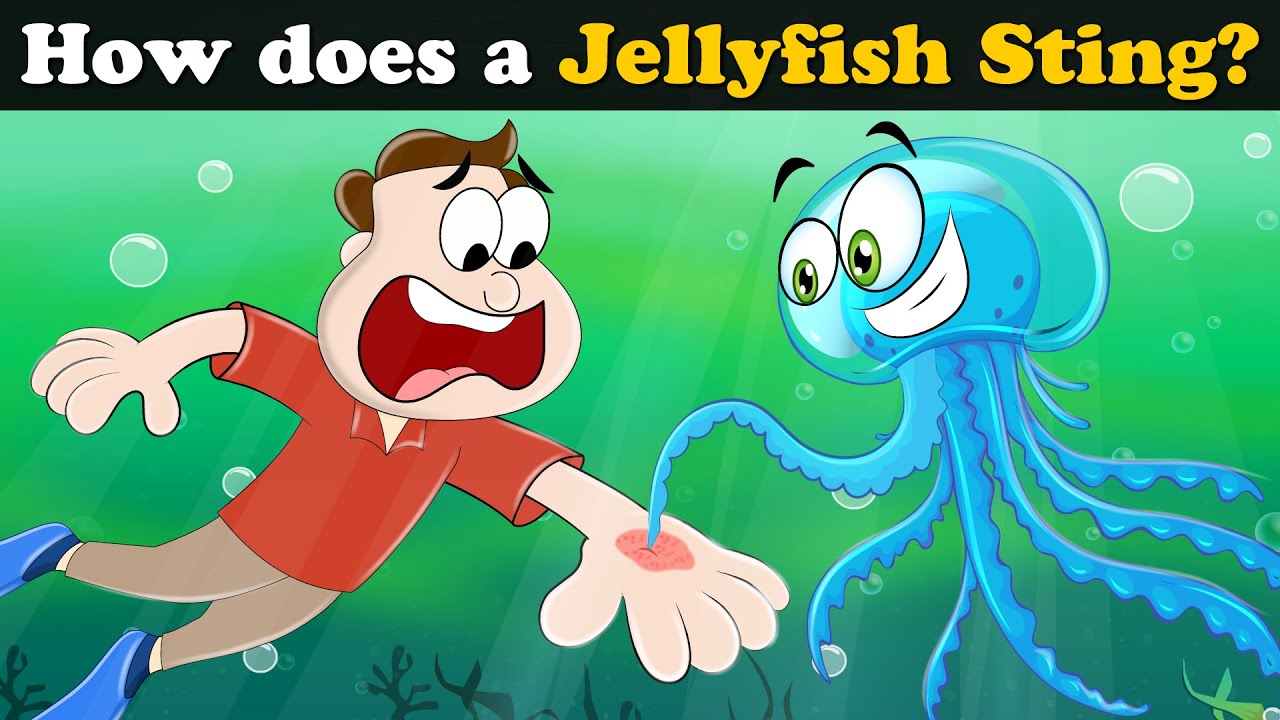 Jellyfish Stinging Cells Video