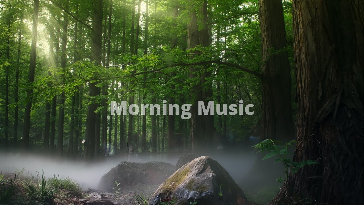 🔴 Morning Study relax music, Calming, stress relief 24/7, Insomnia ...