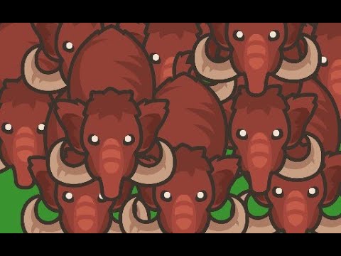 MAMMOTH BEST PET????????? - YouTube