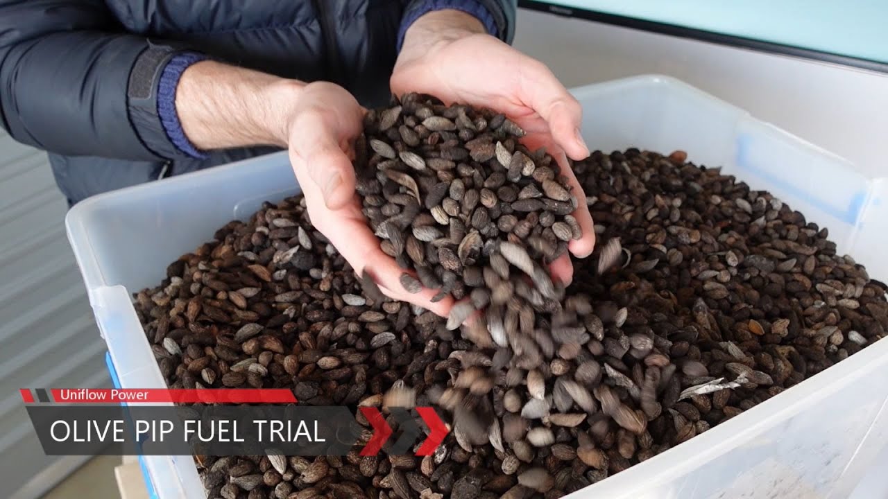 Winter Biomass Fuel Trials - Olive Pip (Part 4) - YouTube