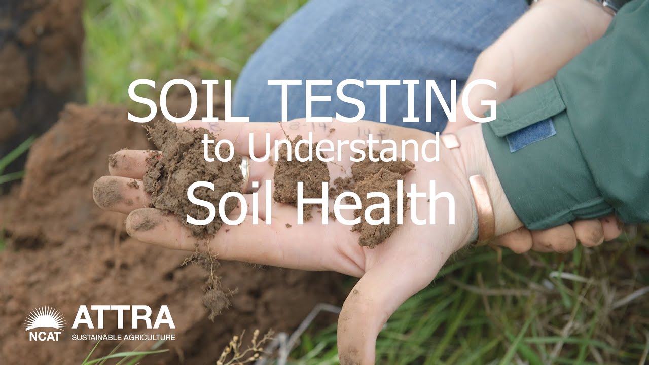 Soil Testing to Understand Soil Health - YouTube