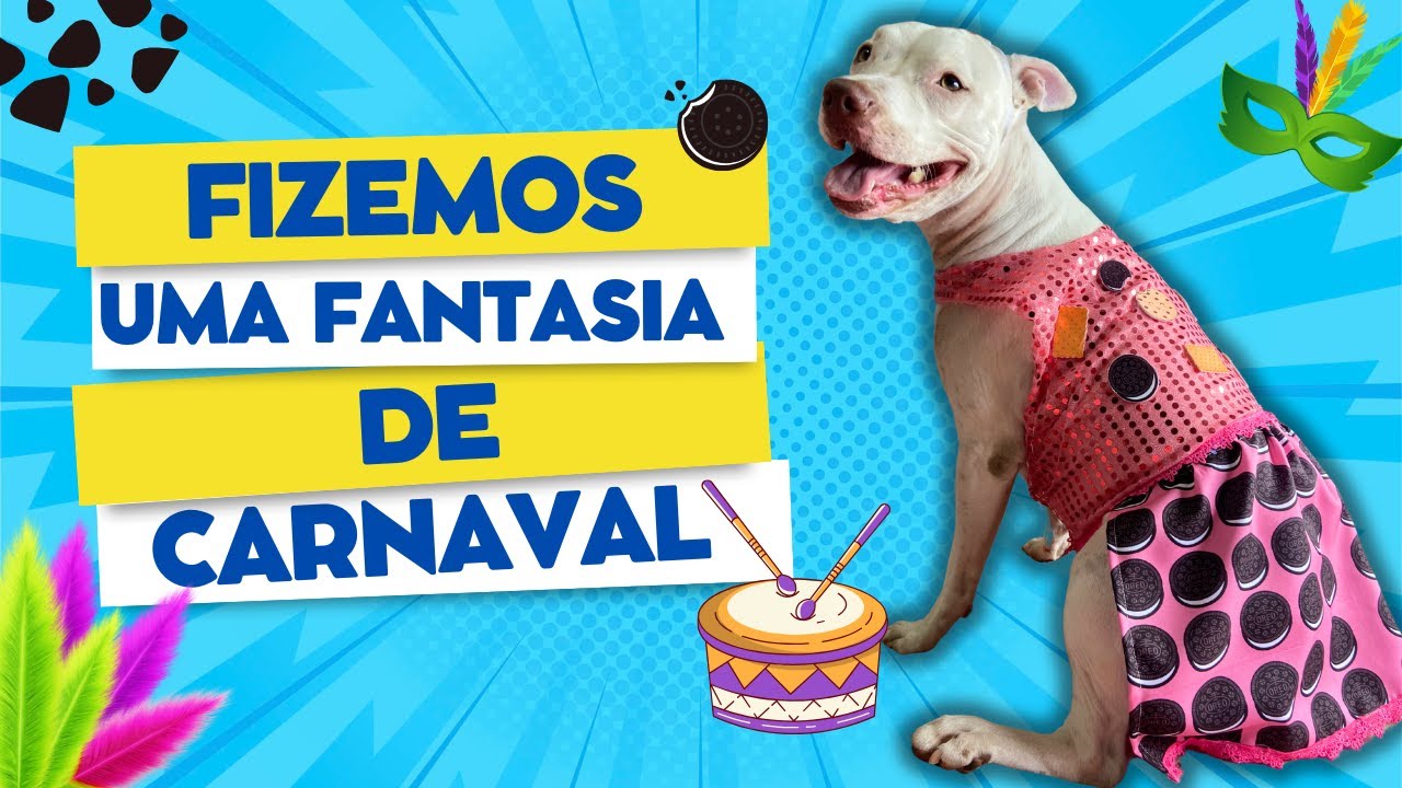 FIZEMOS UMA FANTASIA DE CARNAVAL PRO NOSSO CACHORRO - YouTube