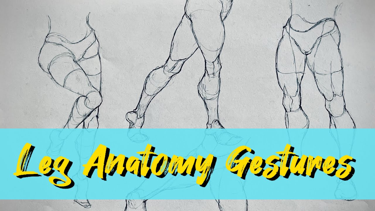 Leg Anatomy Using Simple Gestures - Draw With Me - YouTube