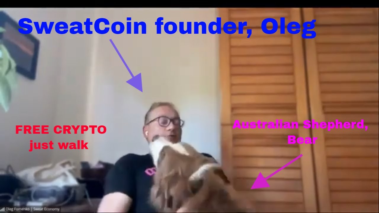 CEO interview: Oleg from SweatCoin, free crypto, bonus puppy guests and the SweatEconomy - YouTube