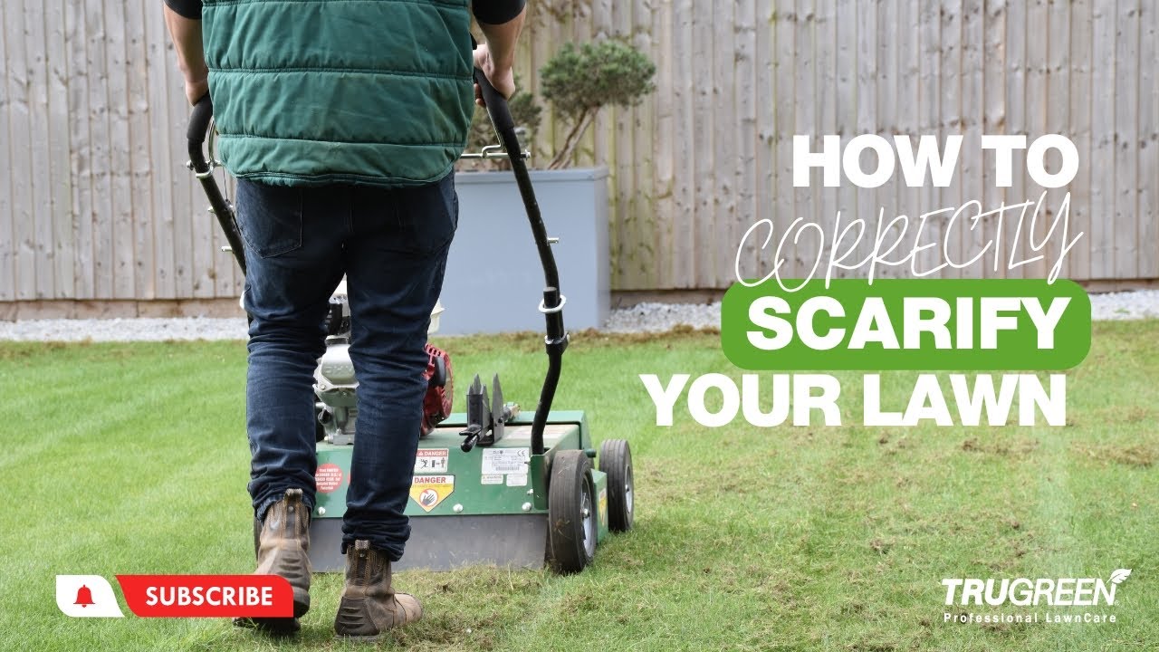 How To Correctly Scarify Your Lawn - Lawn Tips - YouTube