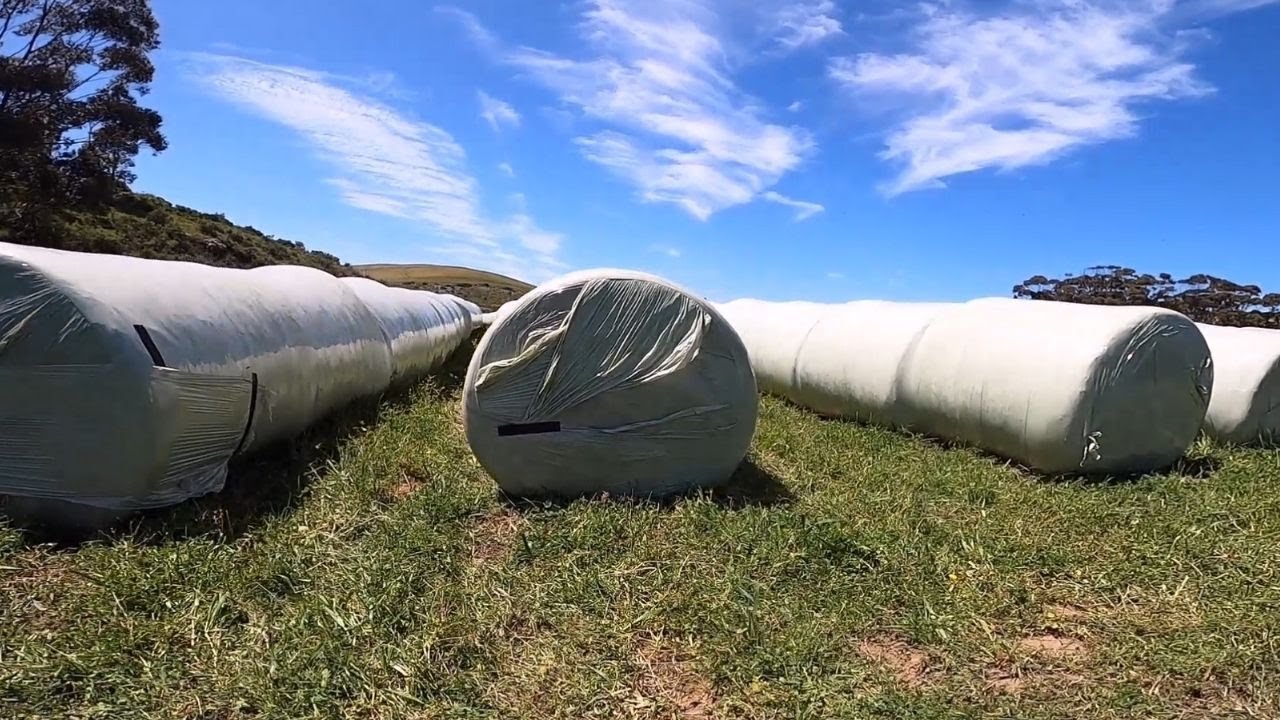 Making silage bales - YouTube