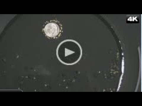 Quikrete Sand and Gold recovered by the Sluice Goose GOLDROP #3 - YouTube