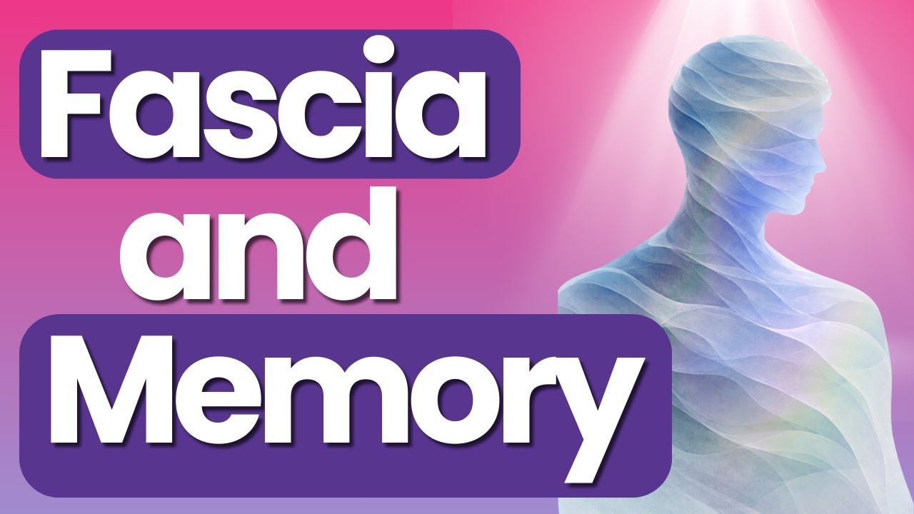 Can Fascia Store Emotional Experience? - YouTube