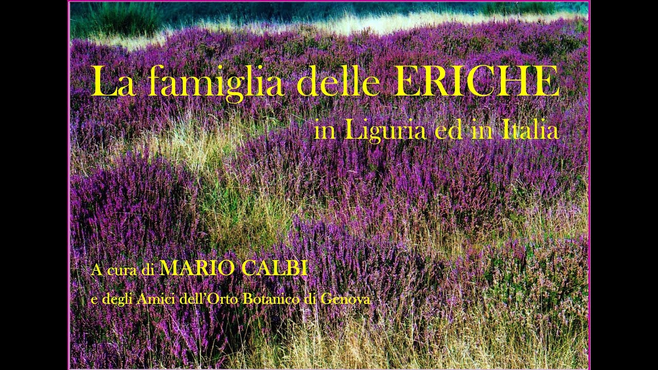 La famiglia delle eriche in Liguria ed in Italia a cura di Mario Calbi ...
