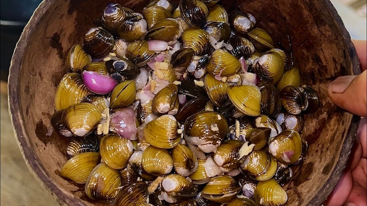 Kinigtot pinalkang (bennek tukmem) in ilocano - YouTube