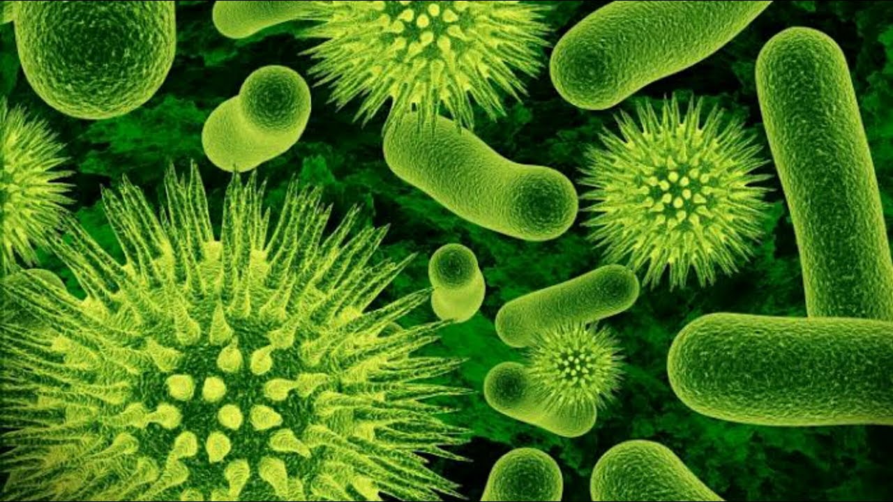 Top 10 Most Dangerous Viruses In The World - YouTube