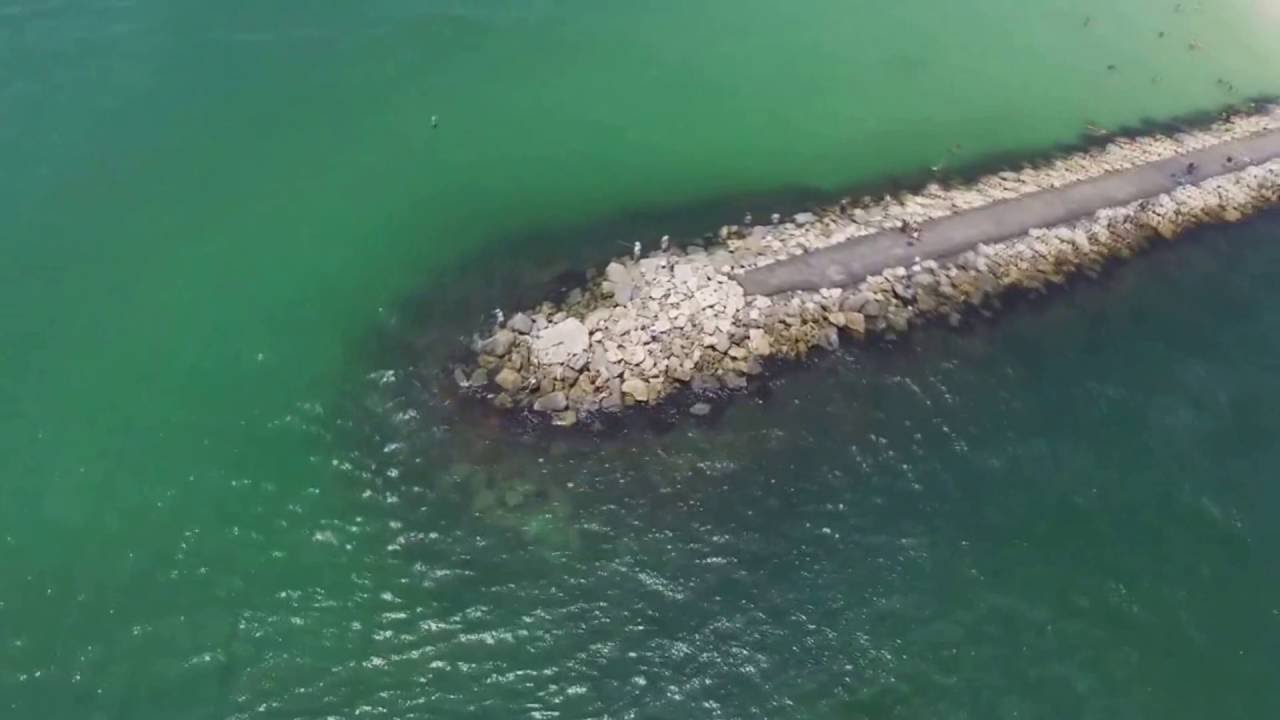 Venice Jetty Arial - YouTube