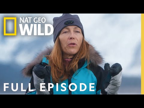 Ain't Nothing Bout a Hound Dog (Full Episode) | Dr. Oakley, Yukon Vet