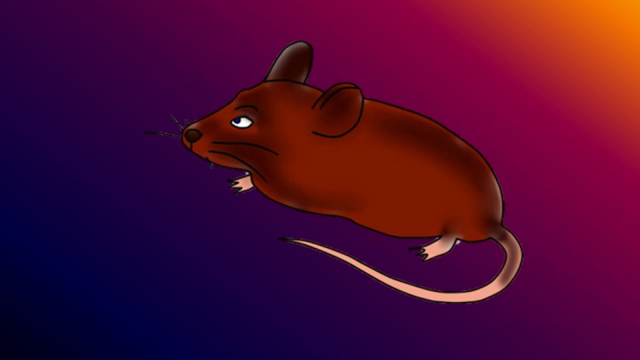 AVENTURA DE UN RATON - YouTube