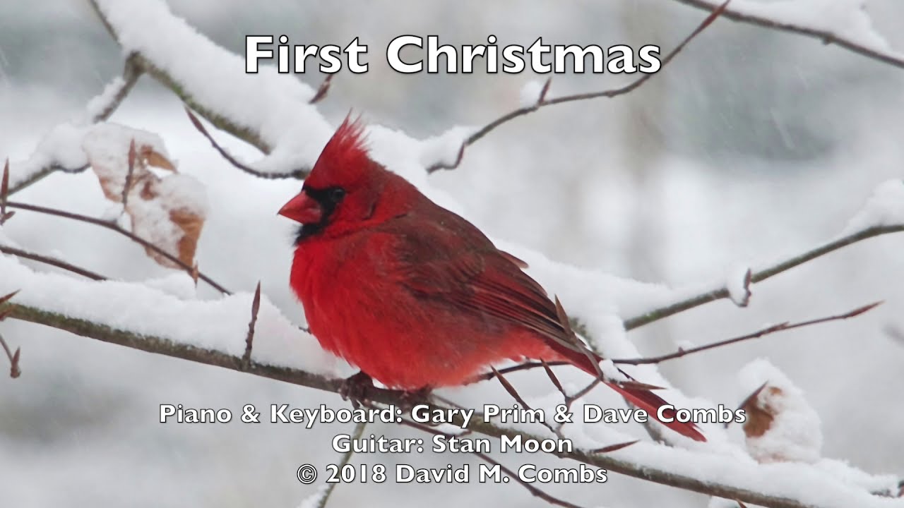 First Christmas - Instrumentals by Gary Prim, Dave Combs, and Stan Moon ...
