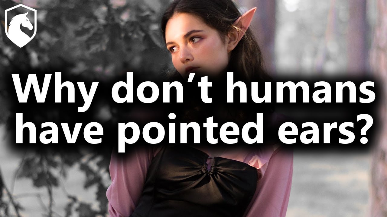 Evolutionary benefit of pointed ears like elves and orcs (from ...