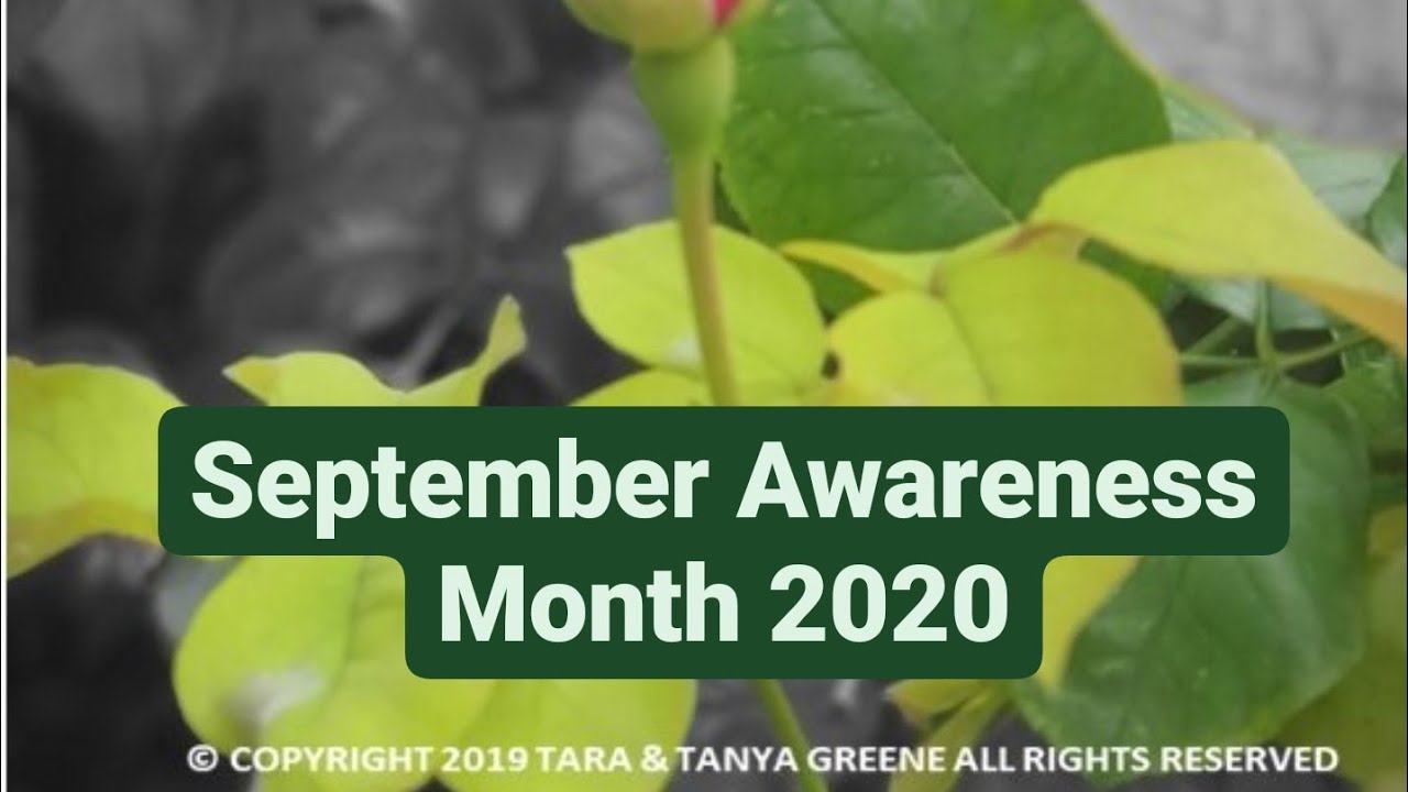 September Awareness Month 2020 - YouTube