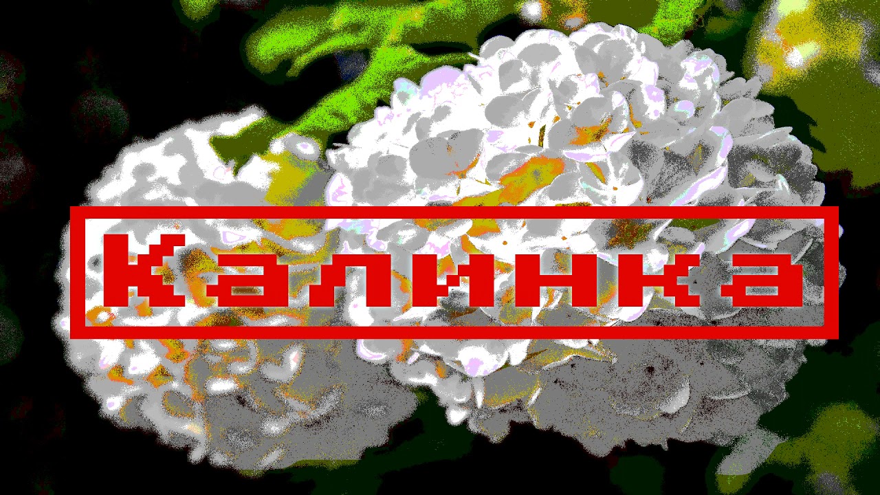 Kalinka (8 Bit Chiptune Remix) - YouTube