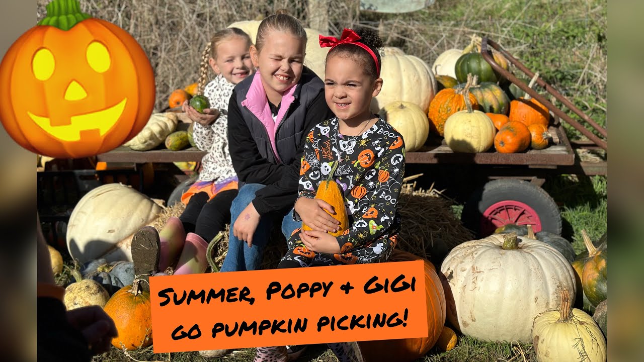 PUMPKIN PICKIN’ at Little Fant Farm 🎃 Check out our haul! 🎃🔥👻 - YouTube