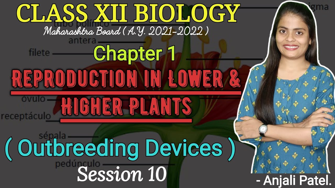 Class XII Biology - Reproduction in lower and higher plants ...