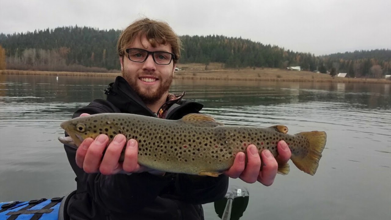 Brown Trout Feeding Frenzy!!! (NEW PB) - YouTube