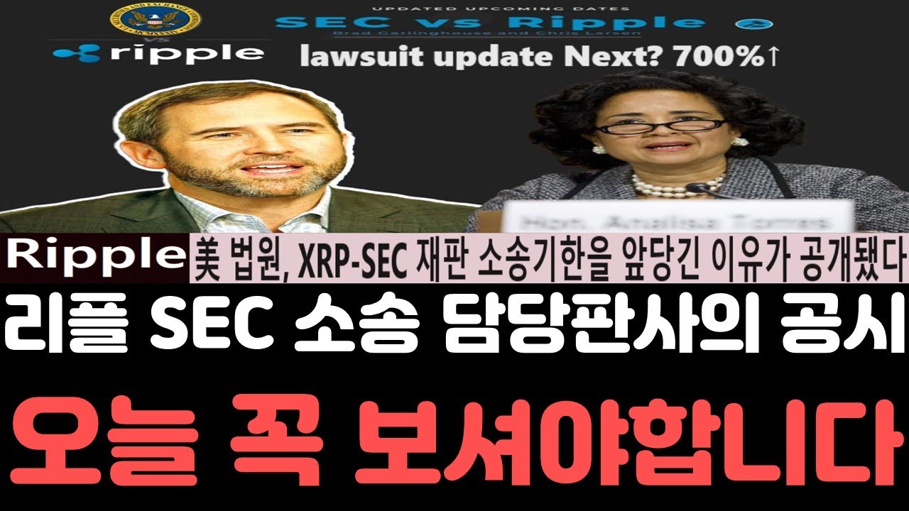 리플전망 리플 Xrp Sec 재판소송 담당판사가 직접 밝힌 공시문이 등장했다설마오늘 영상은 꼭 보셔야합니다 리플전망 리플호재 리플급등 리플코인 리플소송