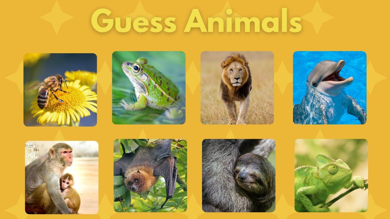 Guess the Animals! Quiz for Kids - Learning Video - YouTube