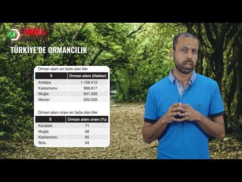 029 - Türkiyede Ormancılık - Hüseyin Ulutaş