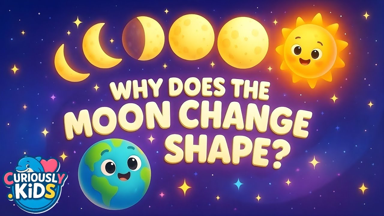 Why Does the Moon Change Shape? 🌕 | Moon Phases Explained for Kids ...