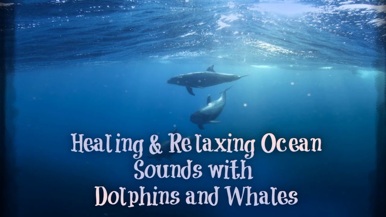 Relaxing Ocean Sounds with Dolphins and Whales - Healing Water Music ...