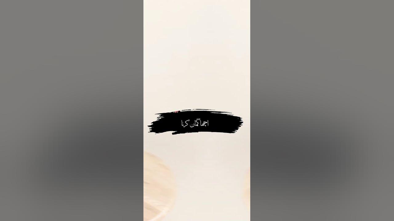 August 20 2023 YouTube august-20-2023-youtube