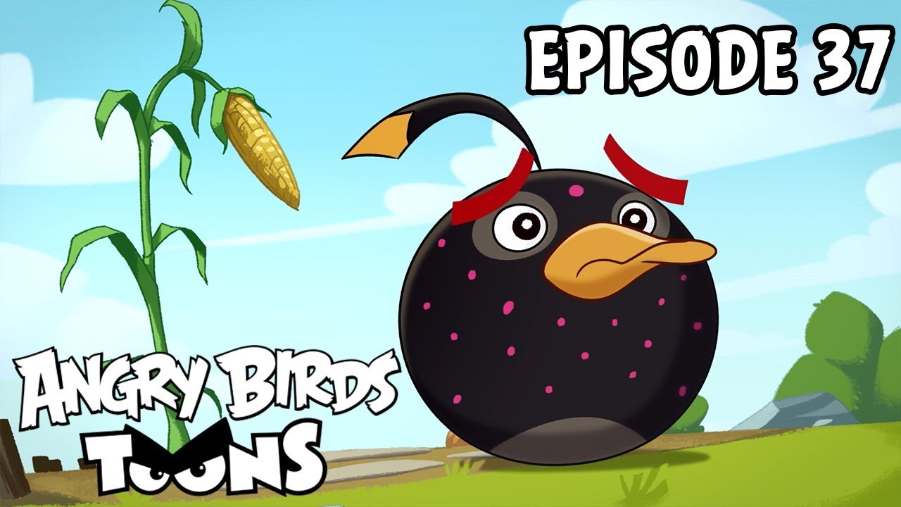 Angry Birds Toons | Clash of Corns - S1 Ep37 - YouTube