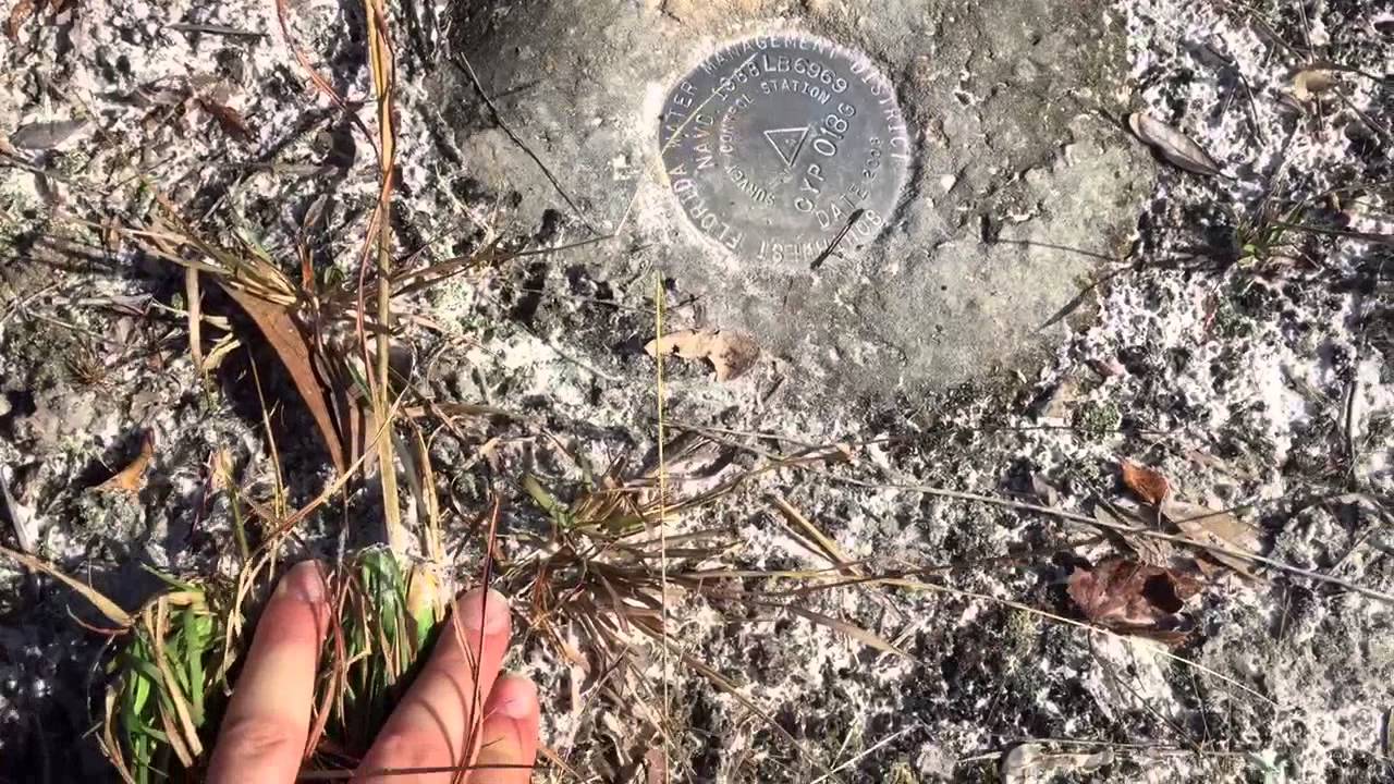 Benchmark Hunting at Cypress Creek Preserve - YouTube