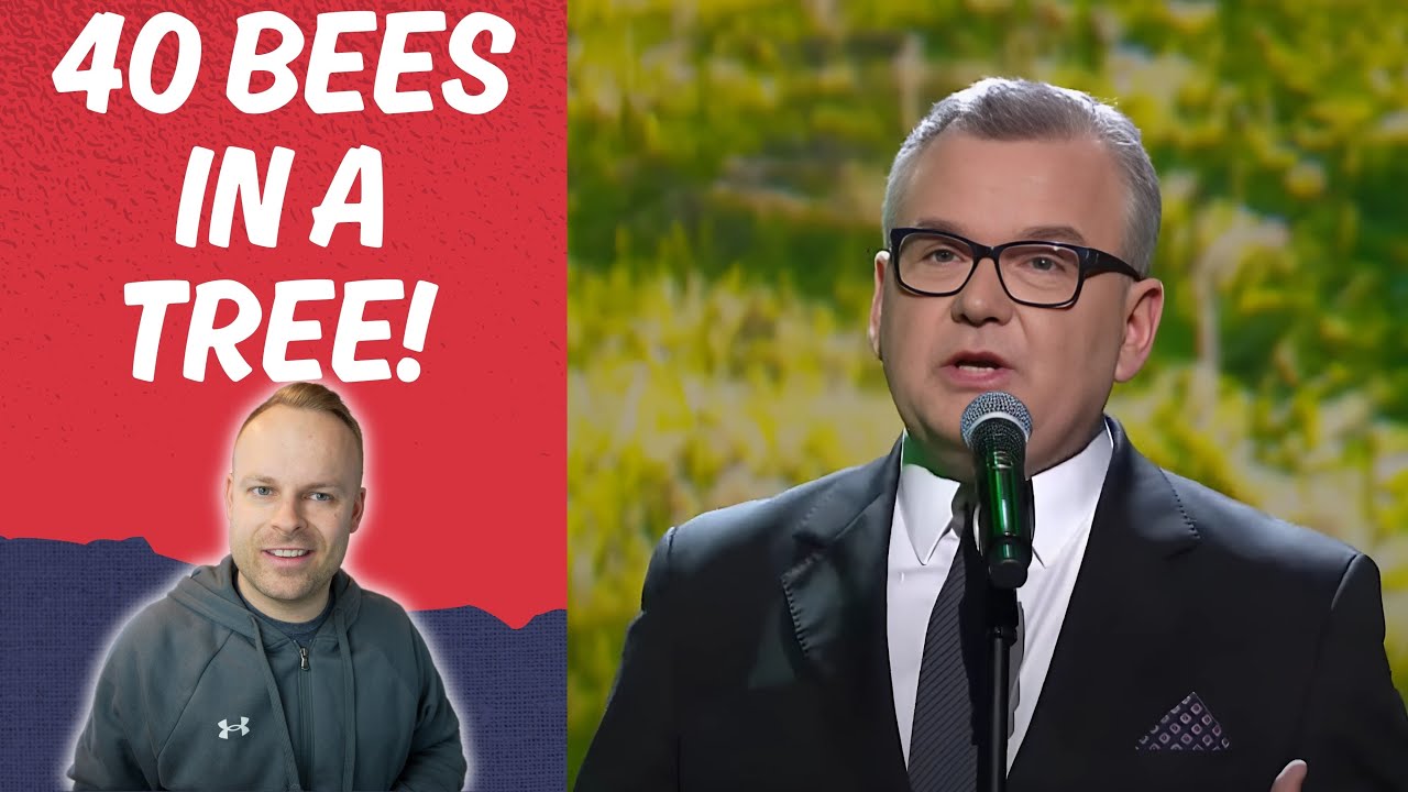 Englishman Reacts to... MozART group / Artur Andrus - A Song About Bees ...