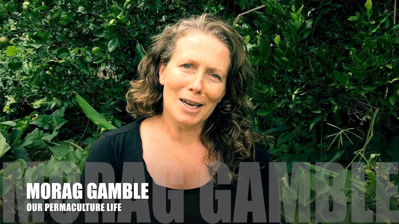 Invitation to be Morag Gamble's patron - YouTube