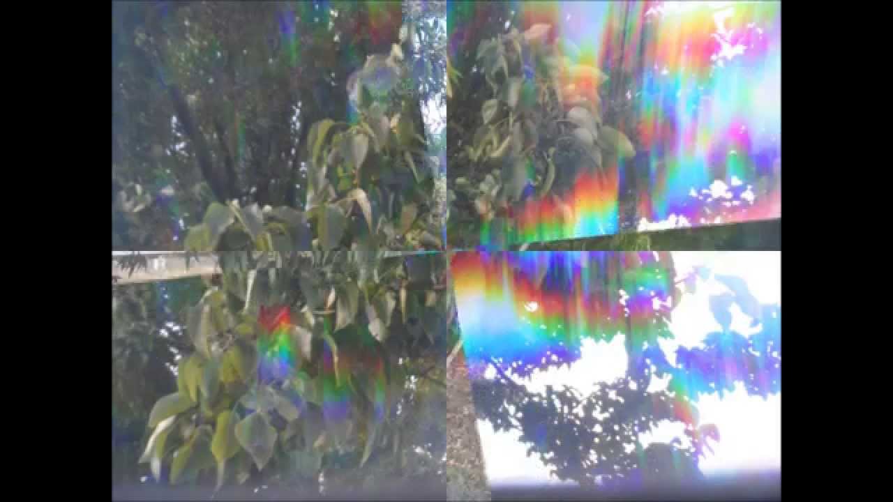 Plant aura of Trees, 2013mobile - YouTube