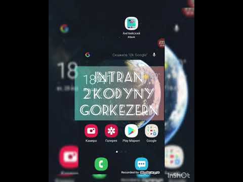 Nadip intrany isletmeli. Intran kodlary!