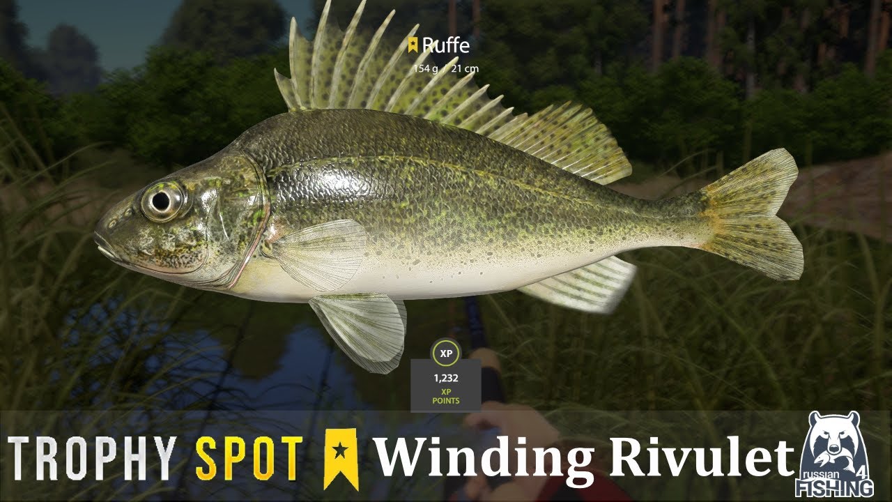 Russian Fishing 4 | Winding rivulet trophy Ruffe spot - YouTube