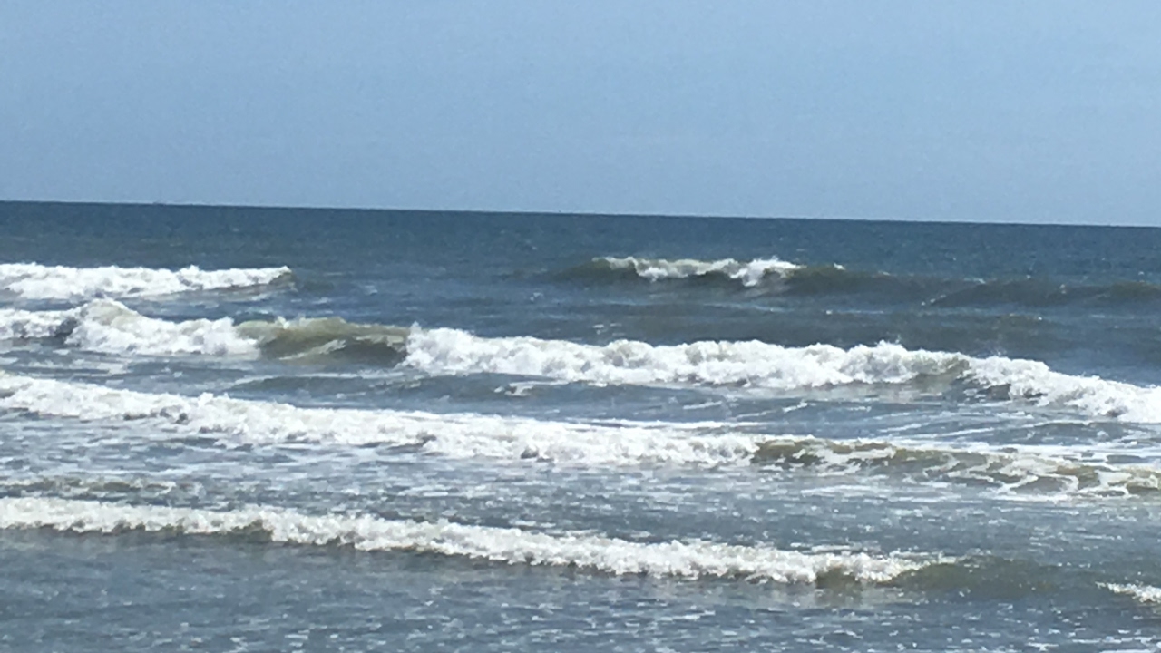 Cameron Barton Live Stream - YouTube