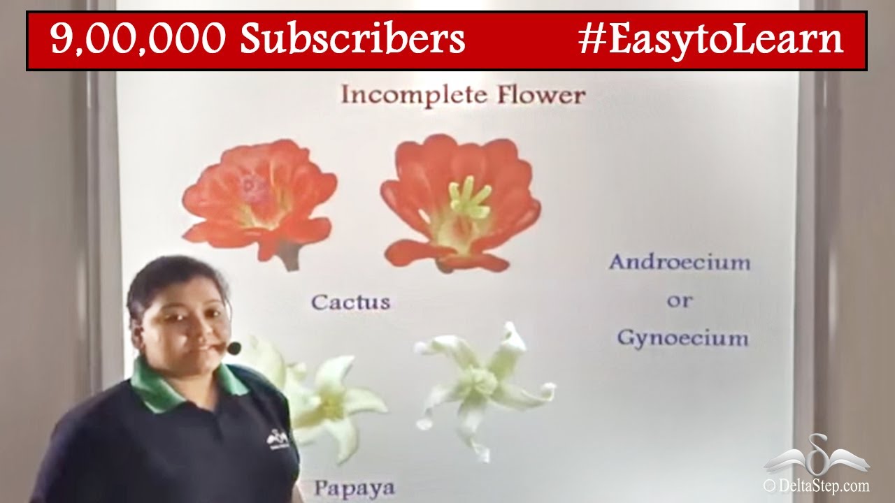 Complete And Incomplete Flower Difference Class 7 CBSE NCERT complete-and-incomplete-flower-difference-class-7-cbse-ncert