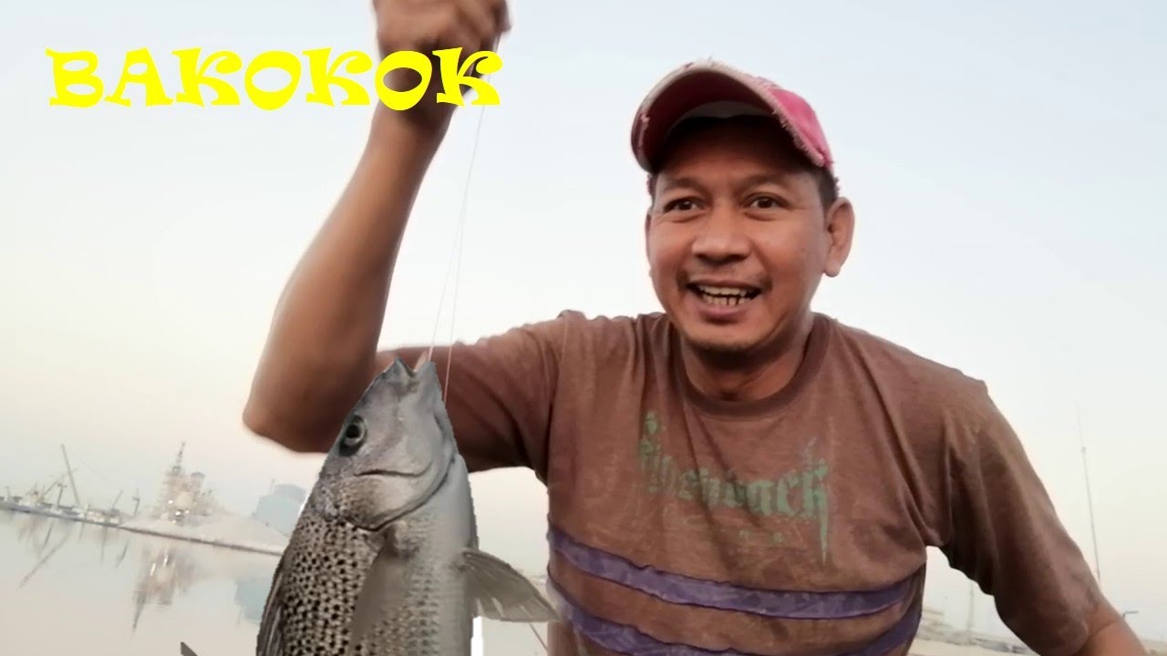 Bakokok Fish - YouTube